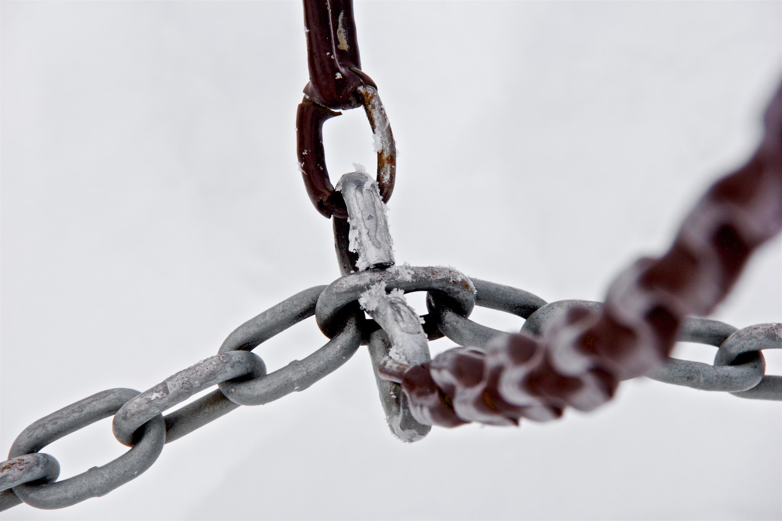 Jesus Link | DigiMovements